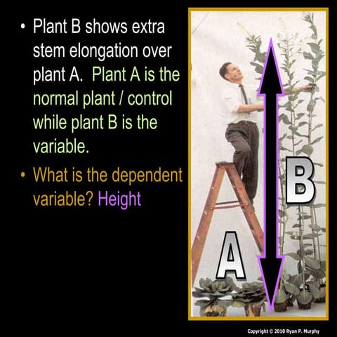 Plant Hormones, Botany, Biology Lesson PowerPoint | PPTX