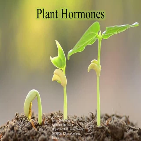 Plant Hormones | PDF | Endocrine and Metabolic Diseases | Diseases and ...