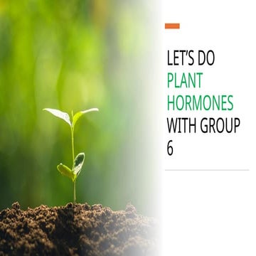 Plant Hormones presentation--Grade 12, term 3 | PPTX
