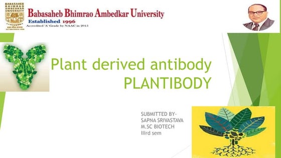 PLANTIBODIES , PLANTIBODY PRODUCTION AND ITS APPLICATION | PDF ...