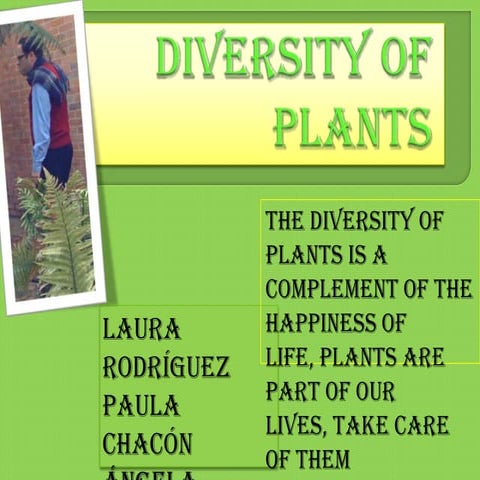 Diversity in plants | PPTX