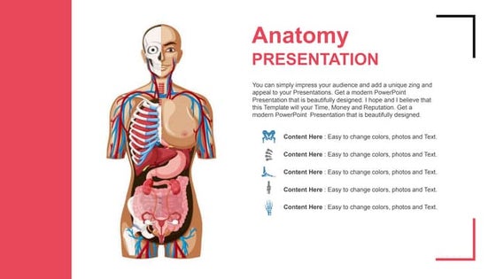 CUERPOS ANATOMICOS INFOGRAFIAS PARA EXPOSICIONES DE ANATOMIA | PPT