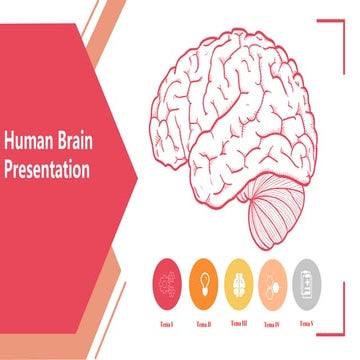 plantilla-de-powerpoint-del-cerebro.pptx