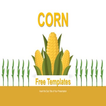 Plantilla-Powe para 3srPoint-de-maiz.pptx