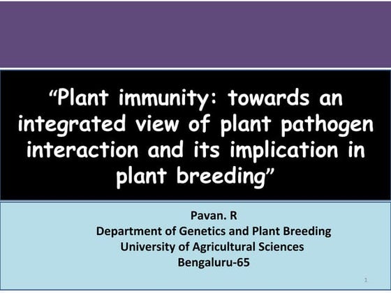 PAMP's | PDF | Gardening | Home & Garden