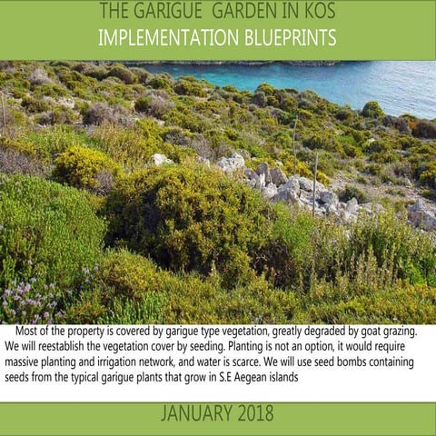 Planting details garigue garden | PPTX