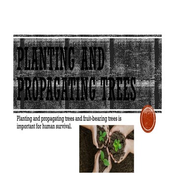 Lesson about PLANTING Technology and Livelihood Education 6.pptx