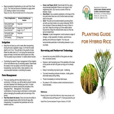 Department of Agriculture planting_guide_for_hybrid_rice.pdf
