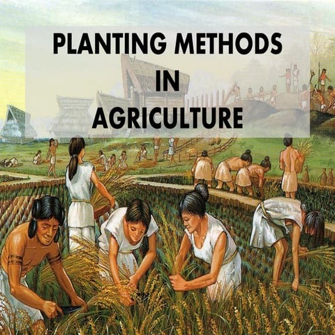 Agri Planting Methods | PPTX