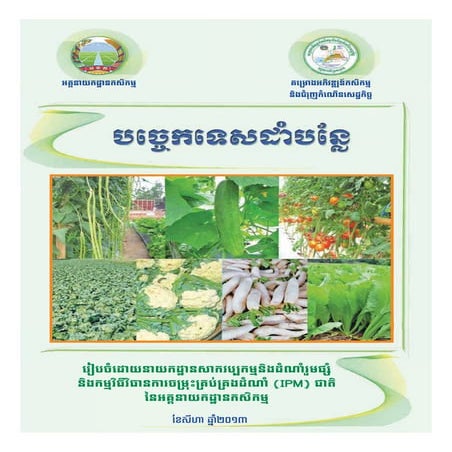 Planting technique for vegetables | PDF | Agriculture | Industries