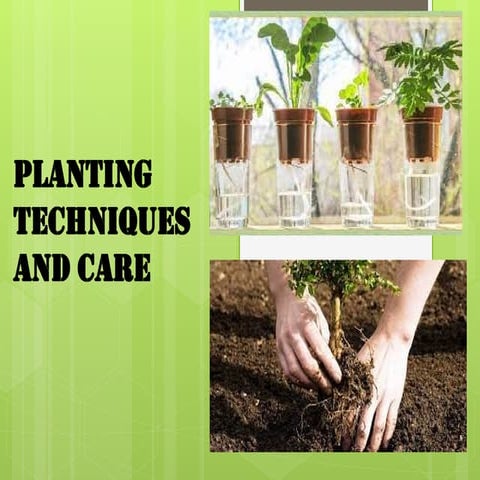 Planting Techniques and Care.justtd.pptx