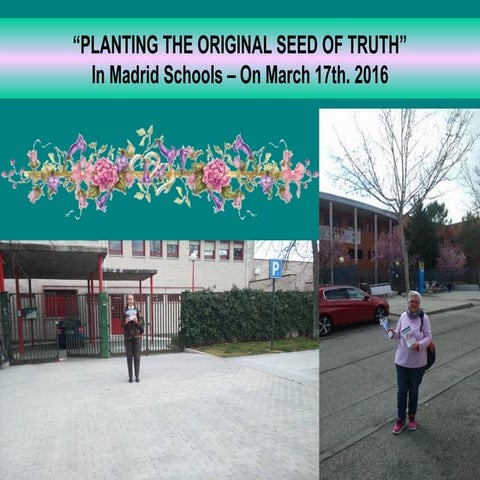 Planting the Original Seed of Truth | PPT