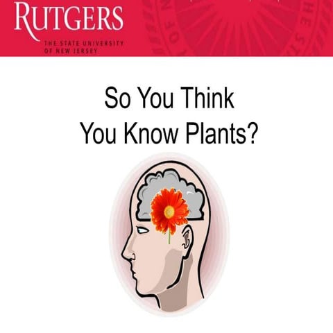 *Plant IQ Quiz | PPTX