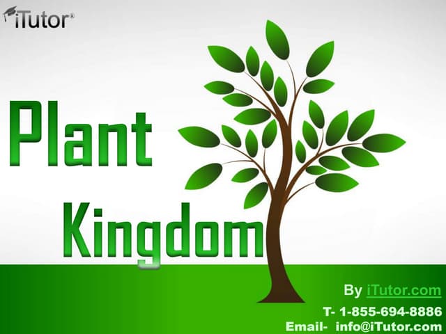 The plant system | PDF