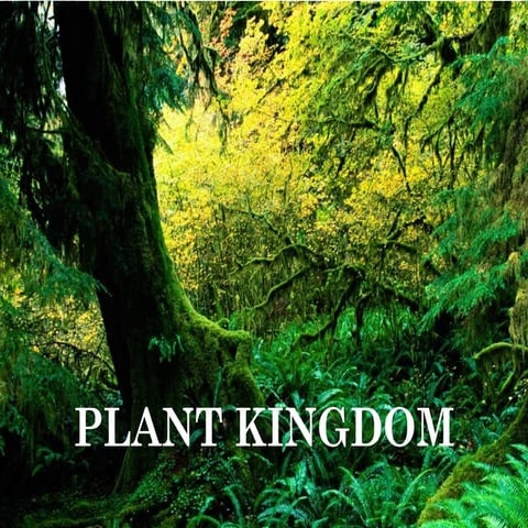 Plant kingdom class 11 | PPTX