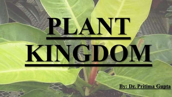 Grade 11 biology plant kingdom | PPTX