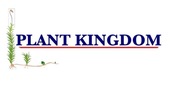 Plant kingdom class 11 | PPTX
