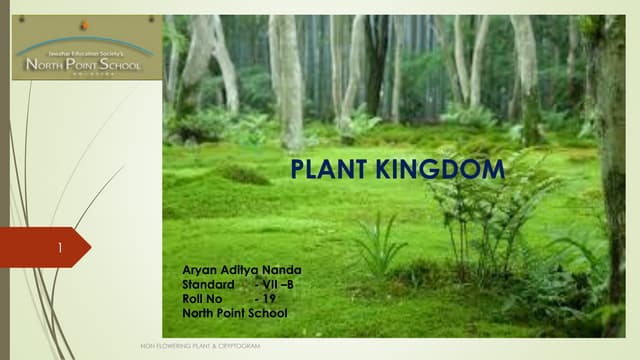 FLOWERING AND NON-FLOWERING PLANTS.pptxFLOWERING AND NON-FLOWERING ...