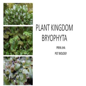 Plant Kingdom_Bryophytes_PRIYA JHA KVSDC | PPT