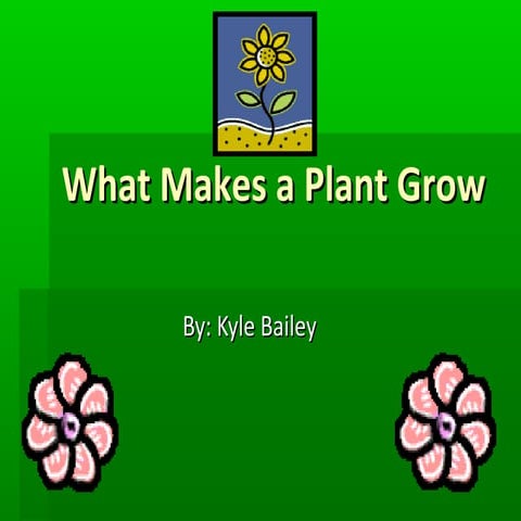 PARTS OF A PLANT GRADE 1 LESSON PLAN PRESENTATION | PPTX