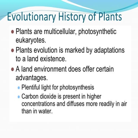 Plant lecture 7 | PPT