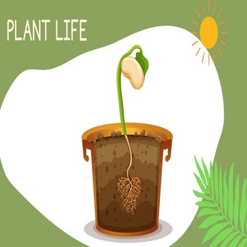 Plant Life.pdf