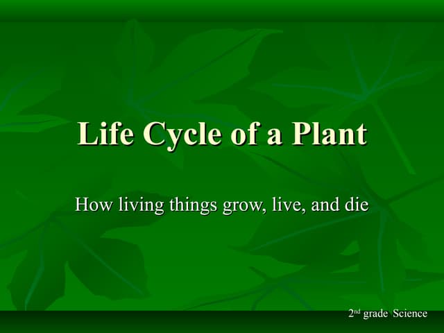 Parts of a plant/plant life cycle (teach) | PPT