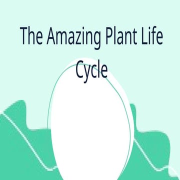 Plant Life Cycle Educational Presentation in Green Yellow Animated ...