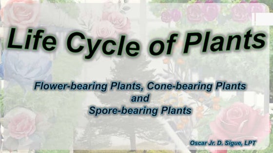 Types of plants | PPT