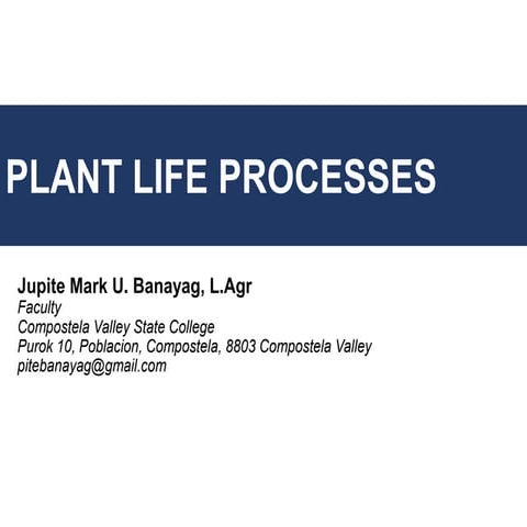 Plant Life Processes | PDF