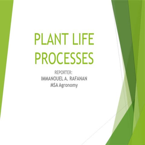 Plant Life Processes - Life Processes of Plants | PPTX