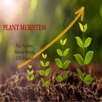 Plant meristem | PPTX