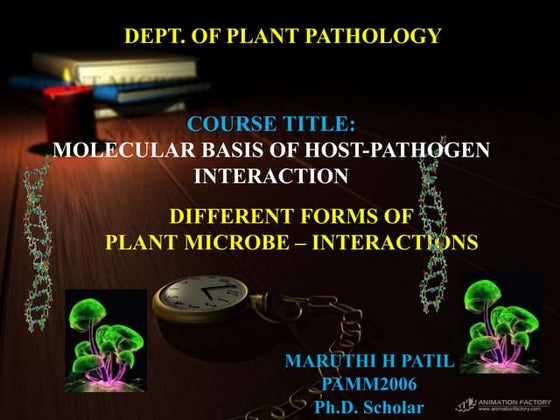 Rhizosphere | PPT