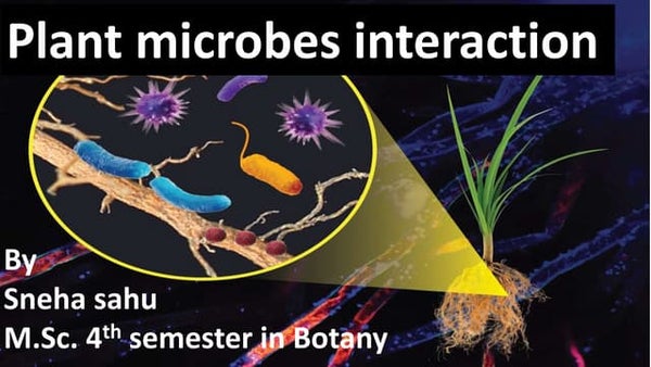 Microbe Plant Interaction