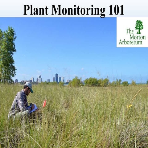Plant monitoring 101 | PPTX