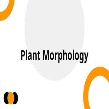 Foundational Plant Morphology: Understanding Basic Structure | PPTX