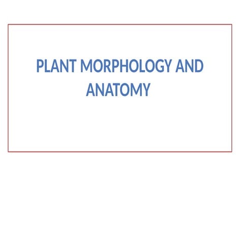short note plant morphology and anatomy | PPTX