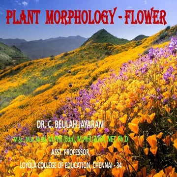Flower as shoot modification | PPTX