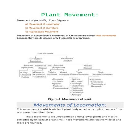 Movement In Plants New Plant Stand With Lights!! How Much Should I