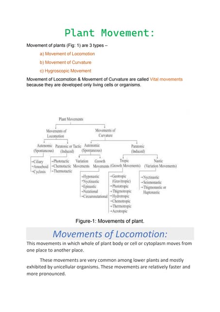 Movement in plants | PPTX | Gardening | Home & Garden