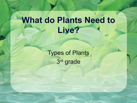 Parts of a plant ppt | PPT