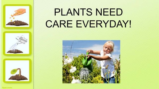 Basic Needs Of Plants | PPT | Gardening | Home & Garden