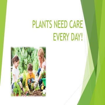 Plant needs | PPTX