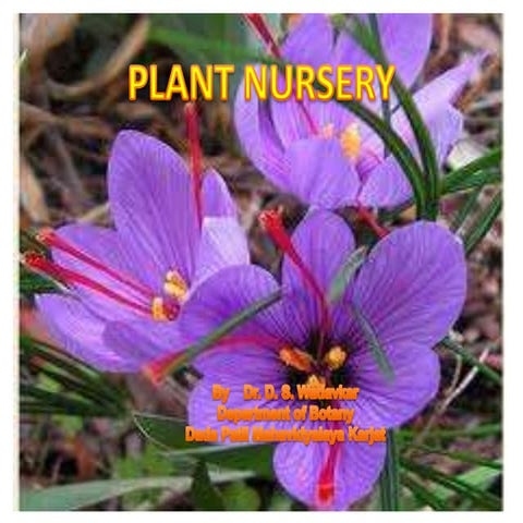 nursery management | PPT