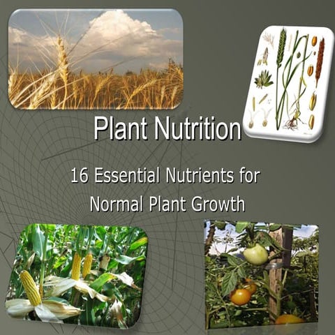 Plant nutrients | PPT