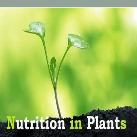 masters seminar monika powerpoint presentation.pptx