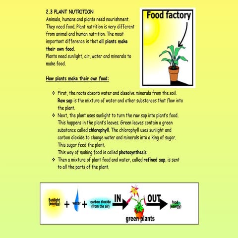 Plant Nutrition | PPT | Nutrition | Healthy Living