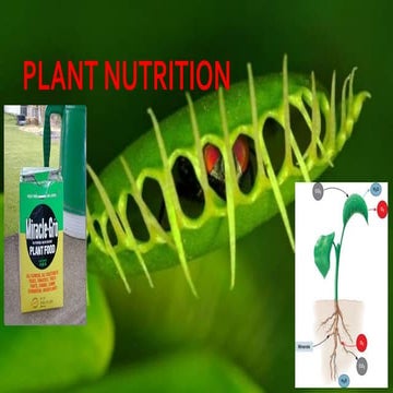 PLANT_NUTRITION_025816.pptx