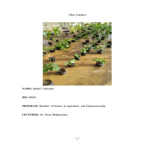 Plant nutrition final lab report | DOCX
