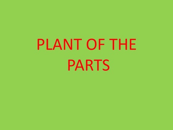 Topic: Parts of a plant for the 4th grades | PPTX